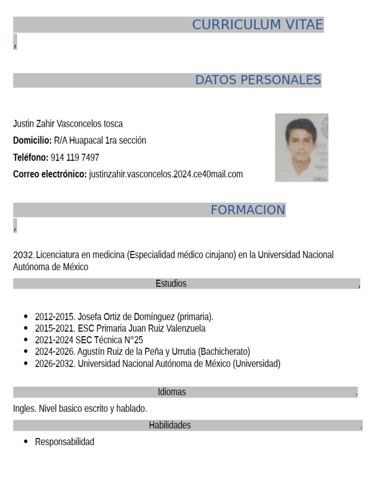 Curriculum Vitae de Justin Zahir Vasconcelos | PDF