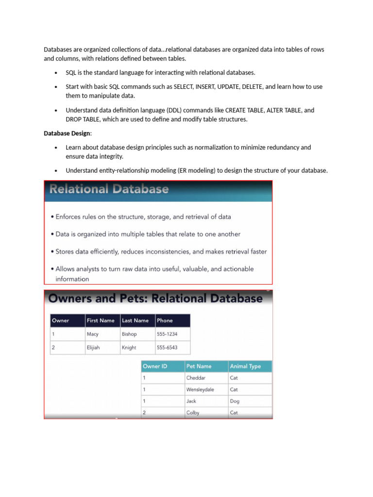 Databases Are Organized Collections of Data | PDF