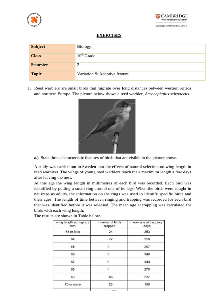 1738392381-Exercises Variation | PDF | Giraffe | Plants