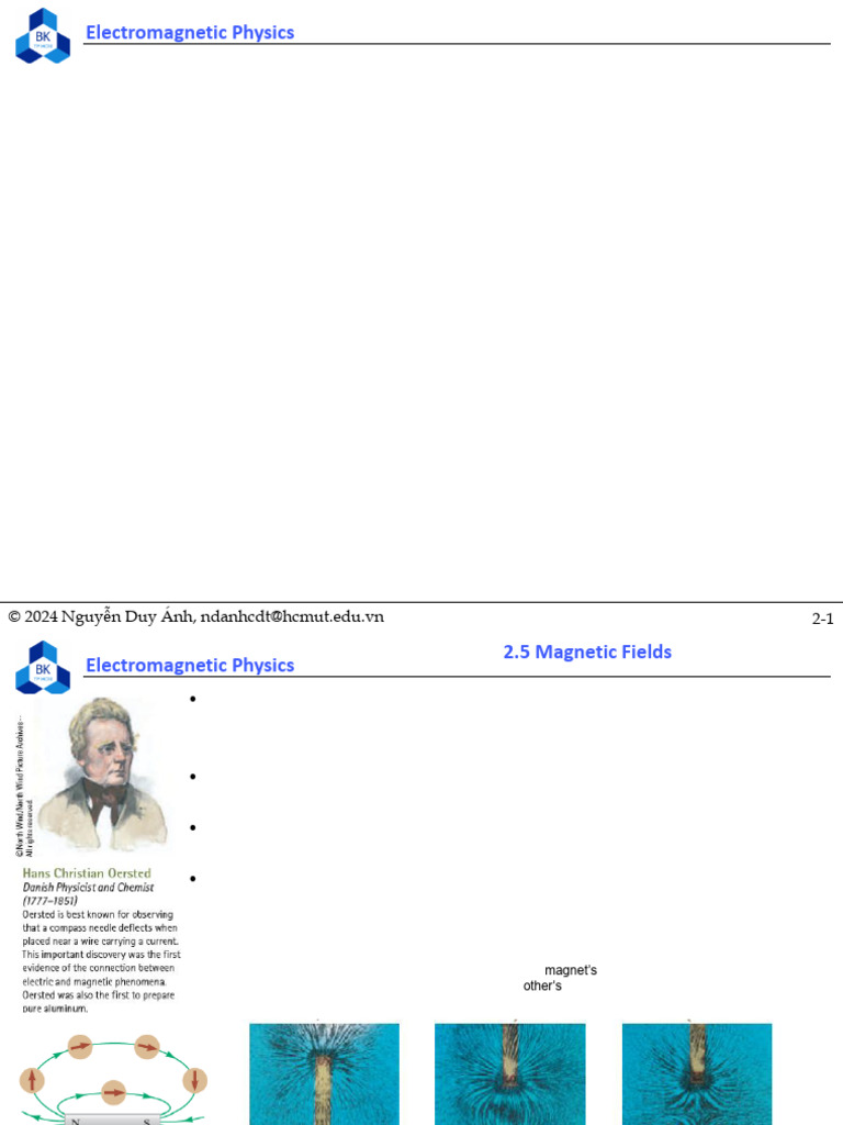 Understanding Magnetic Fields in Physics | PDF | Electromagnetic ...