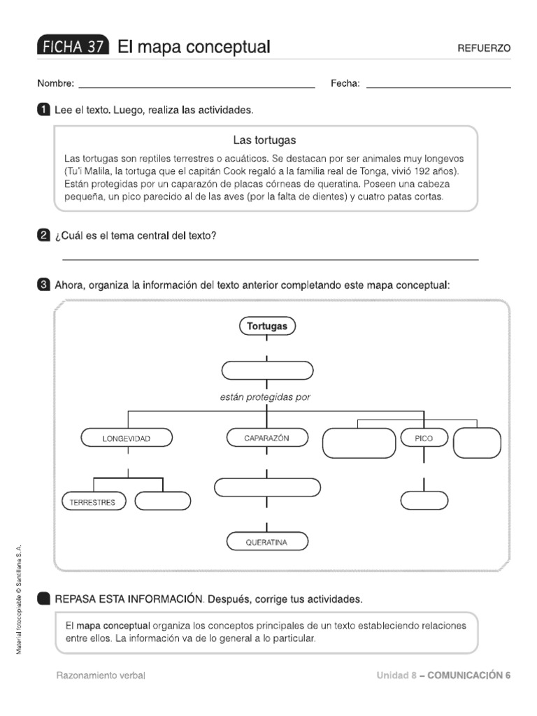 Ficha de Trabajo para 6to Grado Mapa Conceptual | PDF