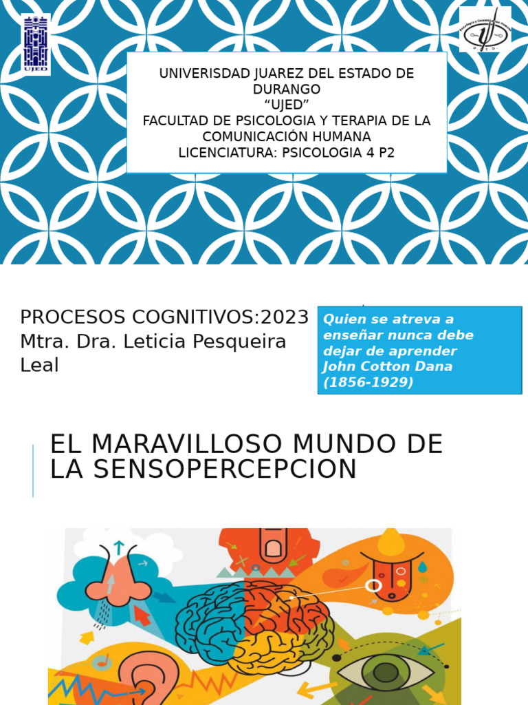 Sensopercepcion 2023 | PDF | Percepción | Sentidos