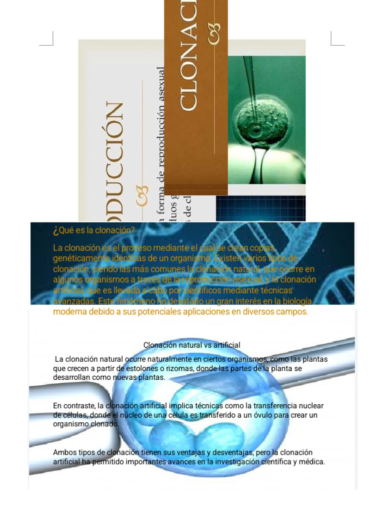 Clonación: Tipos, Técnicas y Aplicaciones | PDF | Clonación | Biología
