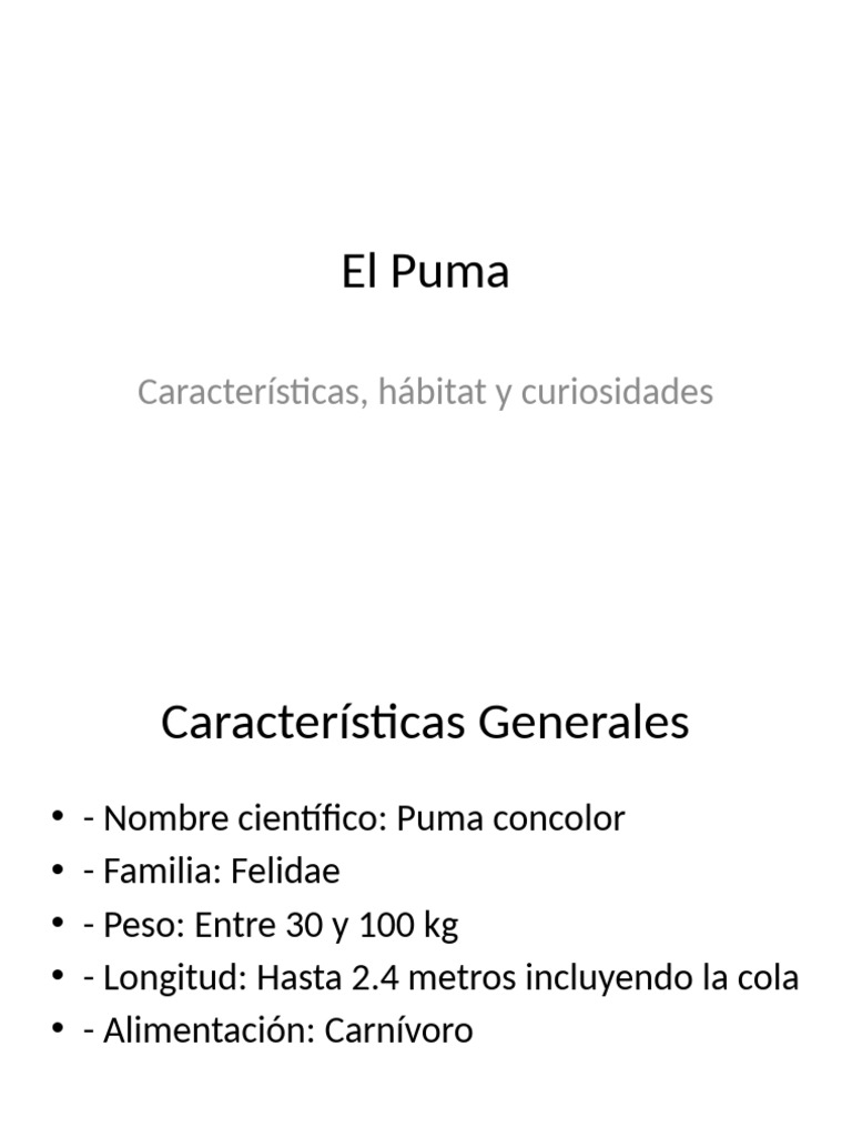 Presentacion Puma | PDF