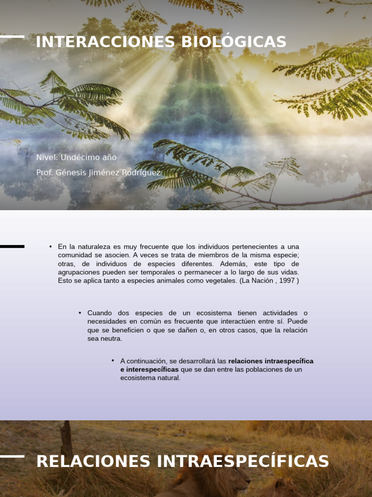 11° - Interacciones Biológicas | PDF | Aedes aegypti | Fiebre del zika