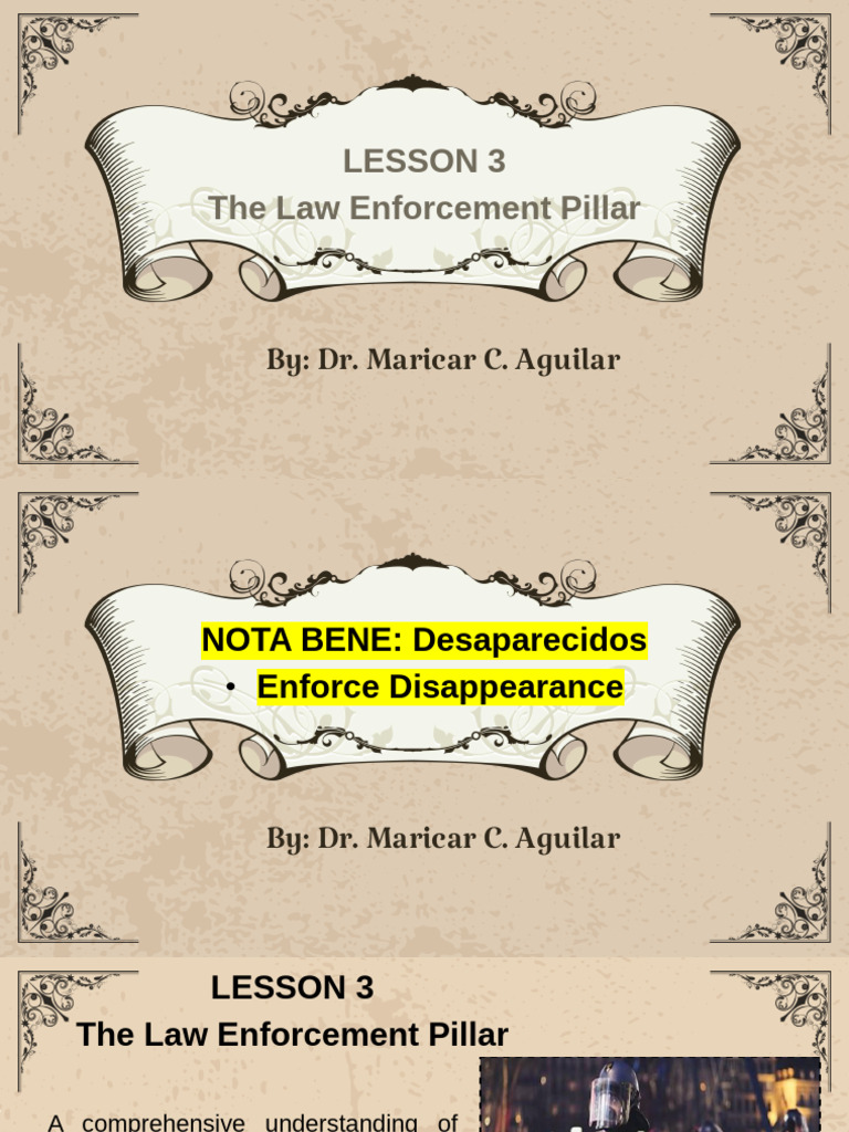 Chapter 3 The Law Enforcement Pillar | PDF | Police | Crimes