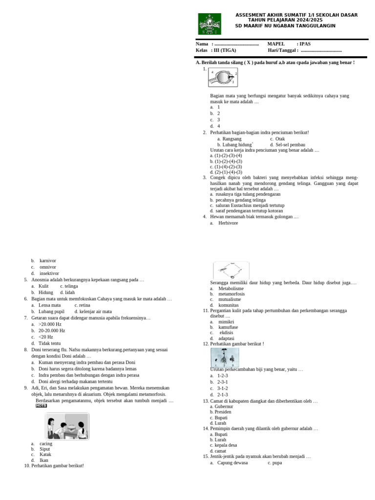 Soal Ai Ipas Akhir Semester | PDF