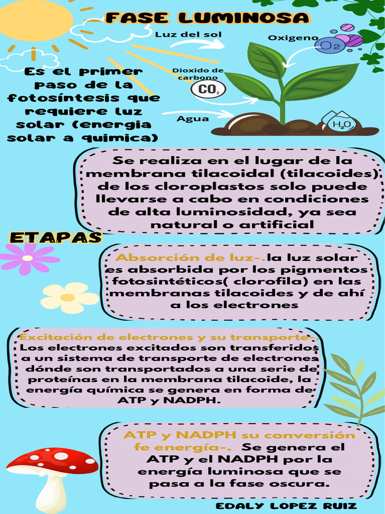 Infografía Algunas Cosas Que Puedes Hacer en Tu Tiempo Libre Divertido ...