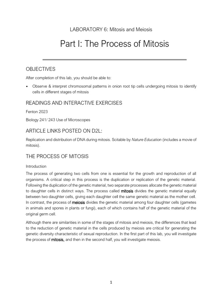 Lab 6 Mitosis + Meiosis Manual (New) | PDF | Meiosis | Mitosis