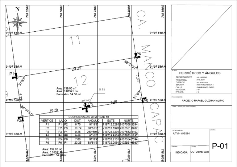 Plano 1. Perimetrico | PDF