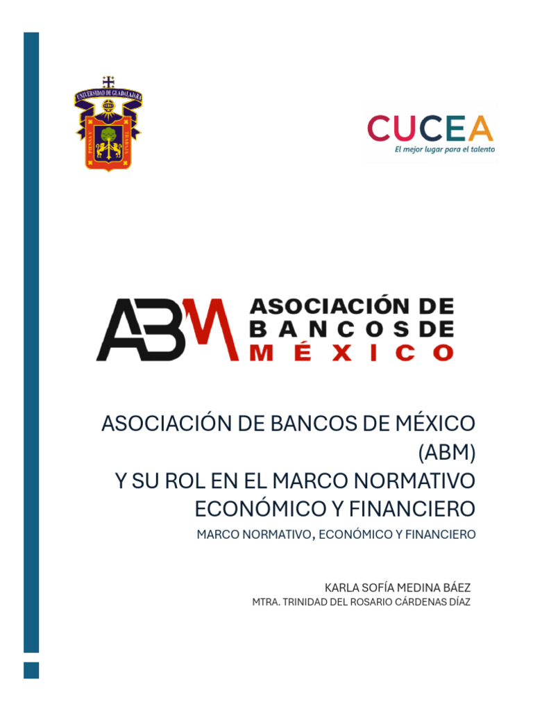 Medina Baez Karla Sofia - Trabajo Final ABM | PDF | Bancos | Inclusión ...