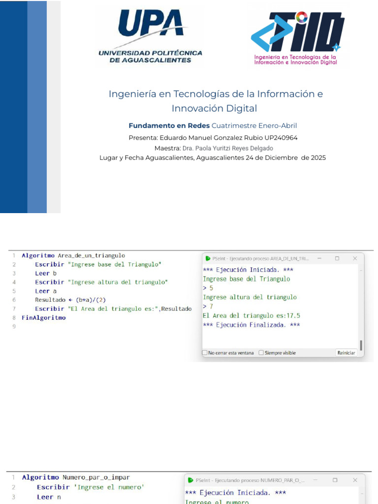 Ejercicios PSeInt | PDF