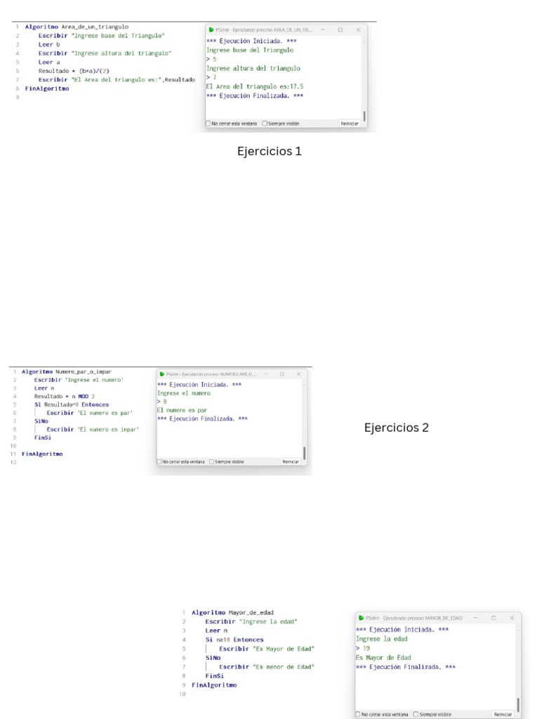 Ejercicios PSeInt.pdf_20250310_165206_0000 | PDF
