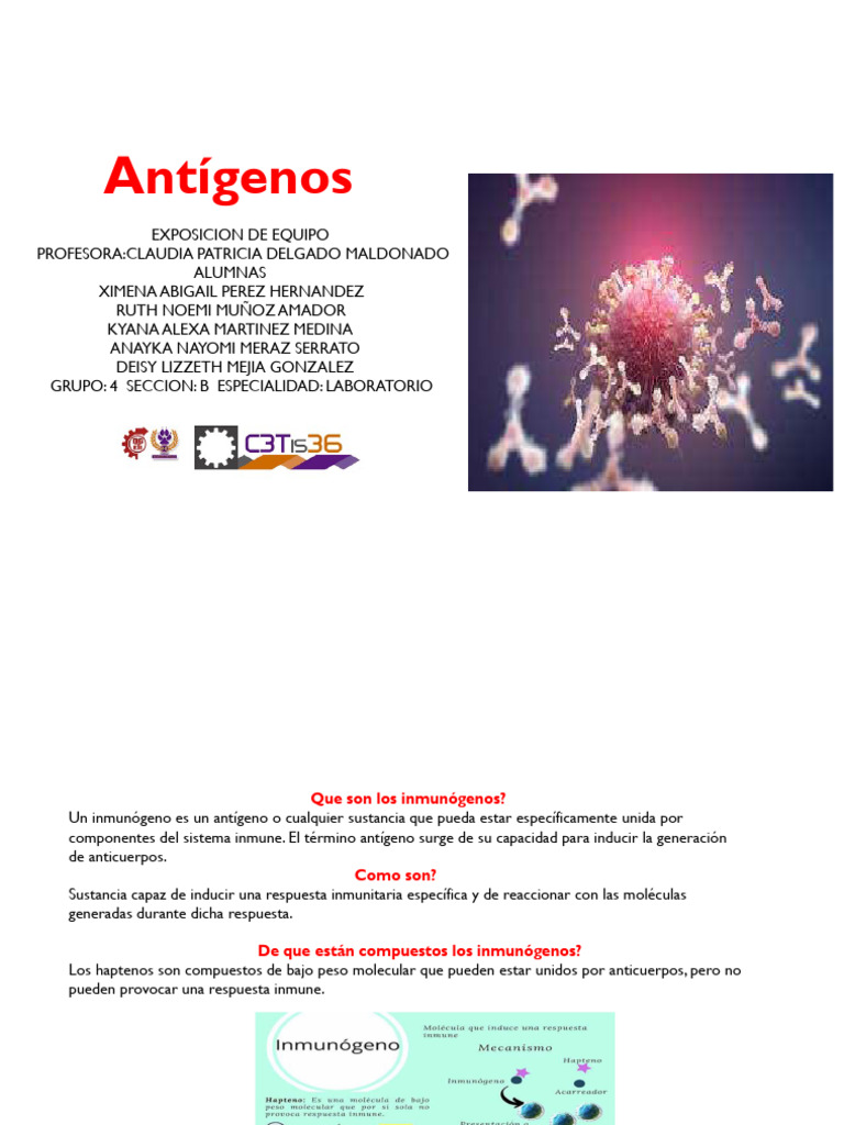 Inmunogenicidad y Antigenicidad en Antígenos | PDF | Antígeno ...