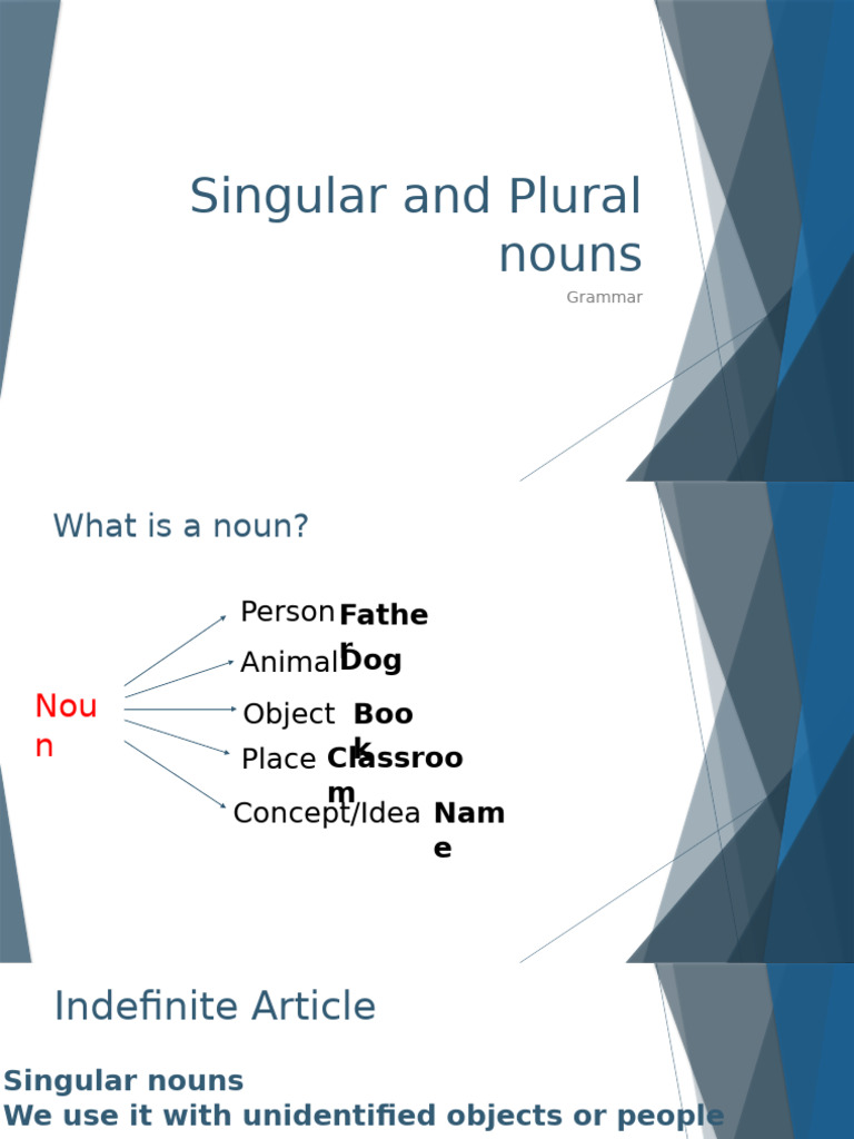 1.1 Singular and Plural Nouns | PDF