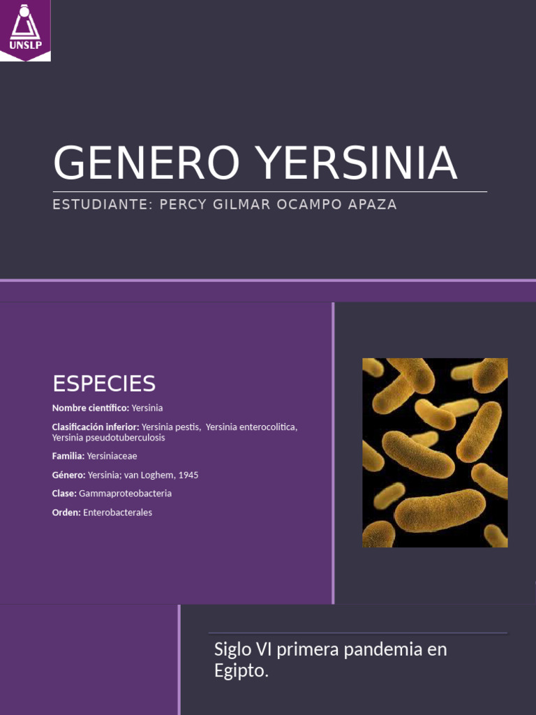 Yersinia | PDF | Peste (enfermedad) | Microbiología