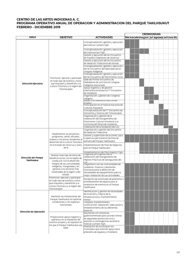 Anexo II. Programa Operativo Anual 2019 | PDF