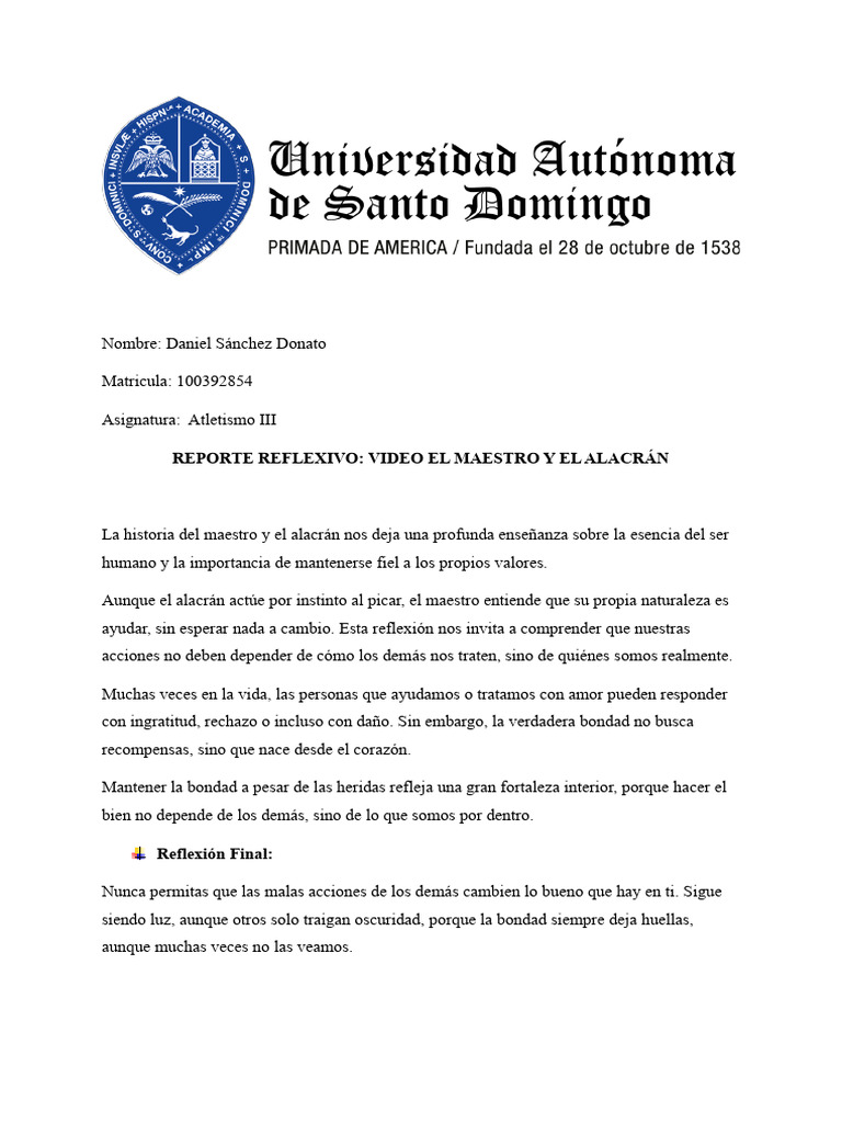 VIDEO REFLEXIVO | PDF