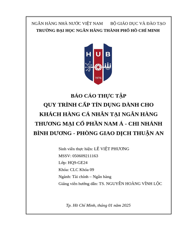 Bctt_lê Việt Phương | PDF