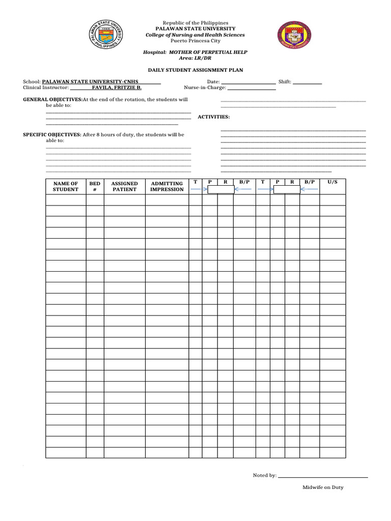 Daily Student Assignment Plan - Nursing | PDF | Public Services | Nursing