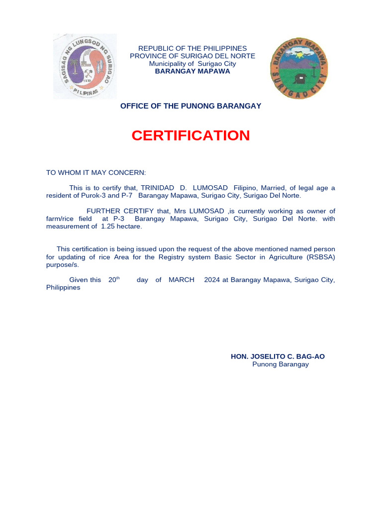 CERTIFATION For (RSBSA) 2020 | PDF