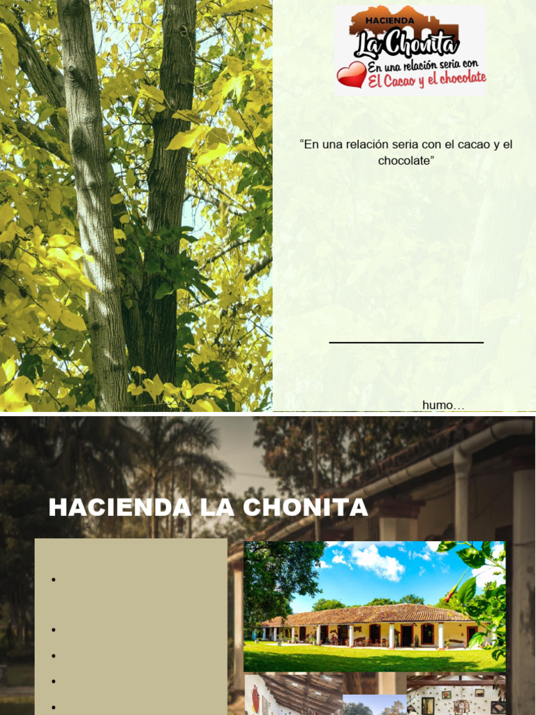 Hacienda La Chonita: Cacao y Freesbe Golf | PDF | Chocolate