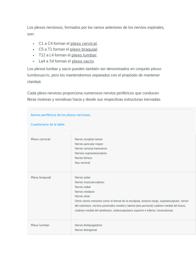 Plexos Nerviosos: Anatomía y Funciones | PDF