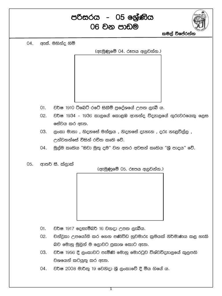 Grade 5 Environmental Project Reports | PDF