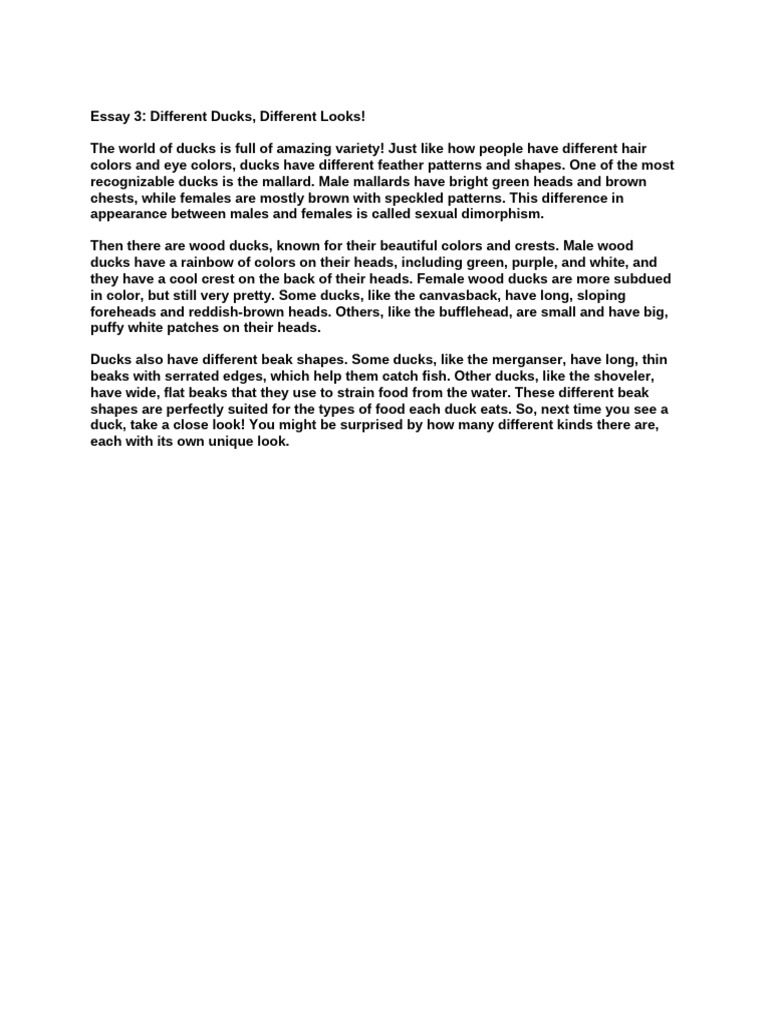 Different Ducks, Different Looks | PDF