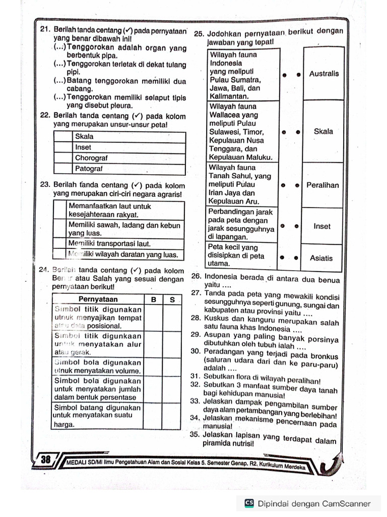 STS Ipas KLS 5 | PDF