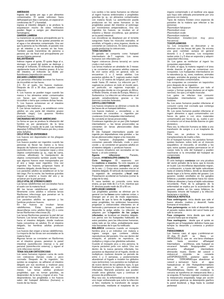 Ciclos de Vida Final | PDF | Animales y humanos