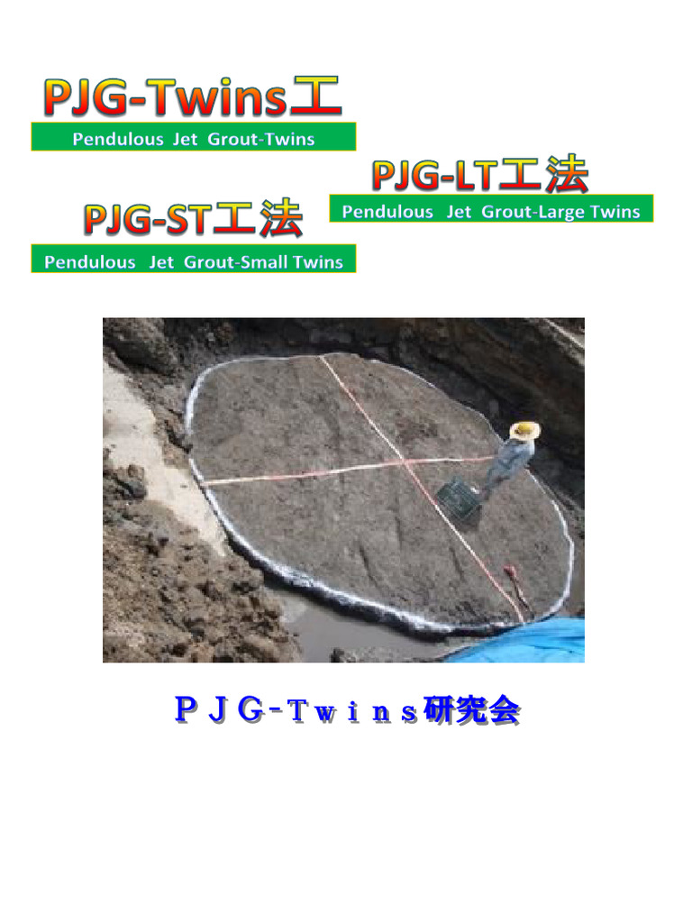 pjg_twins_pro | PDF