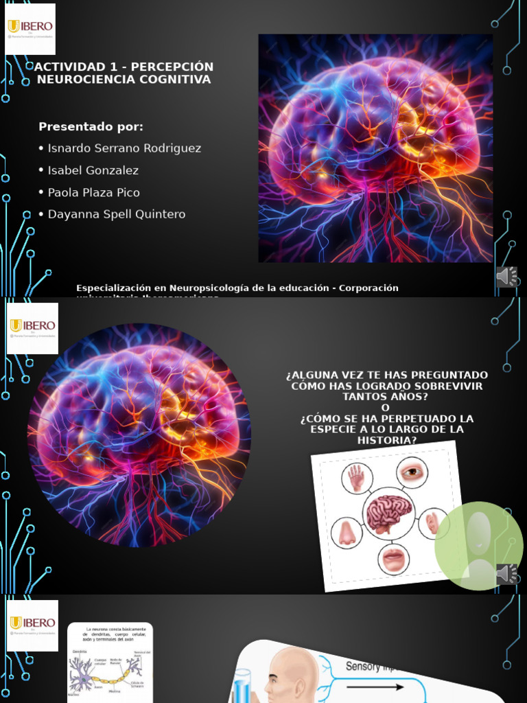 Percepcion Presentacion Power Point 3 (1) | PDF | Cerebro | Sentidos