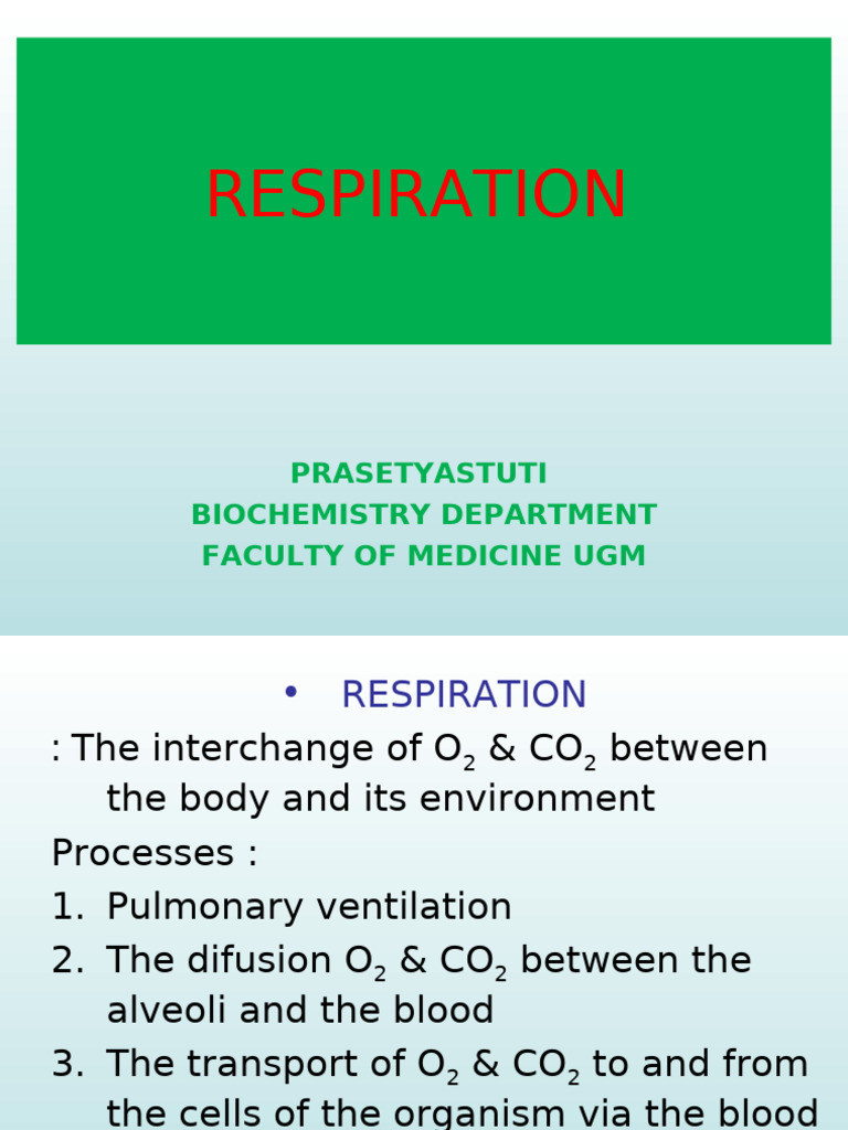 Understanding Human Respiration Processes | PDF | Respiratory System ...
