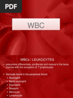 WBC Manual Count Using Hemocytometer | White Blood Cell | Blood