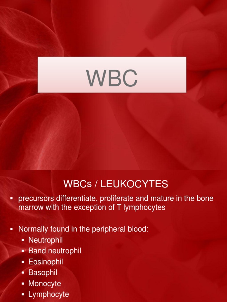 WBC | PDF | White Blood Cell | Lymphocyte