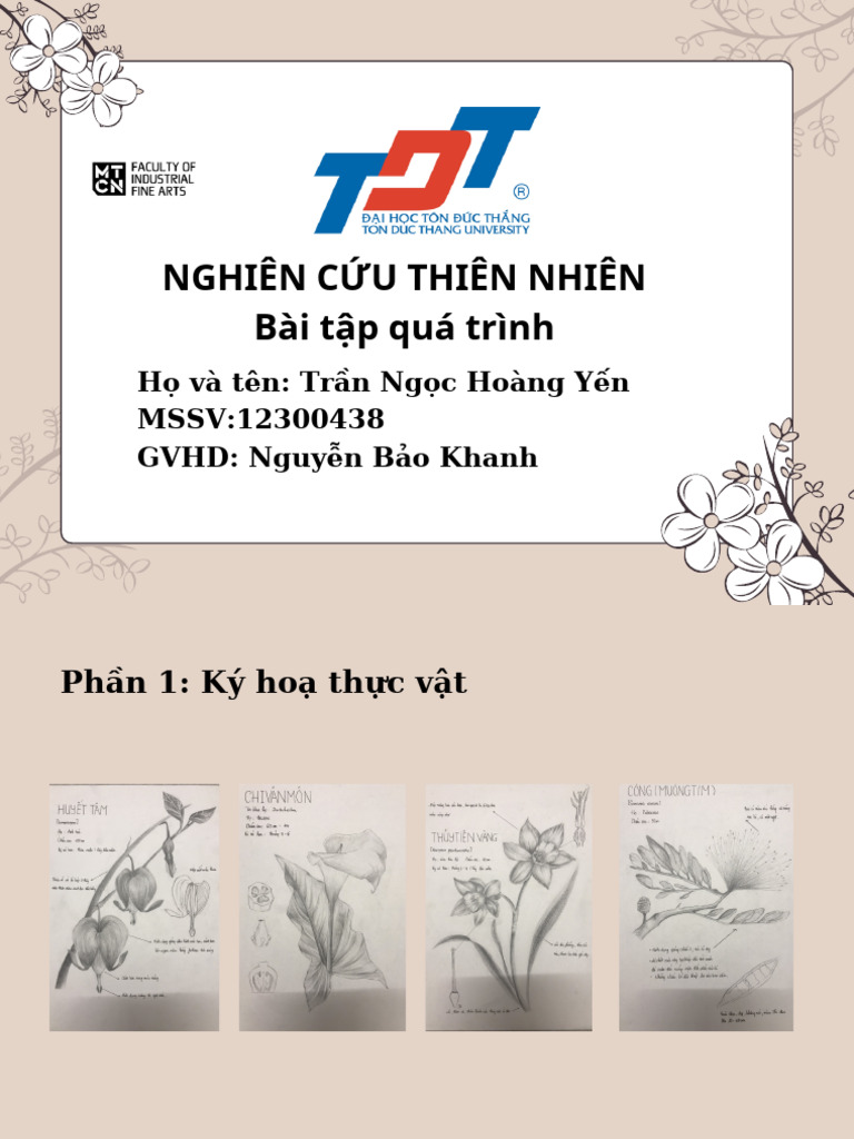 TranNgocHoangYen-12300438 (NCTN-QT) | PDF