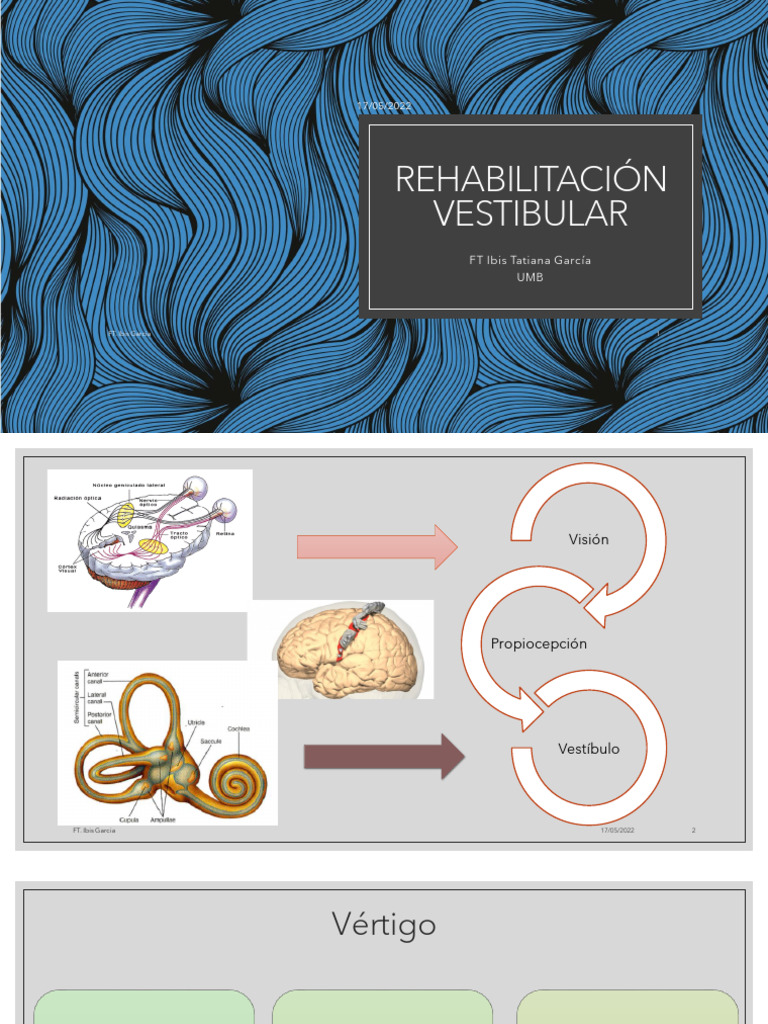 Rehabilitación Vestibular: Ejercicios y Maniobras | PDF | Vértigo ...