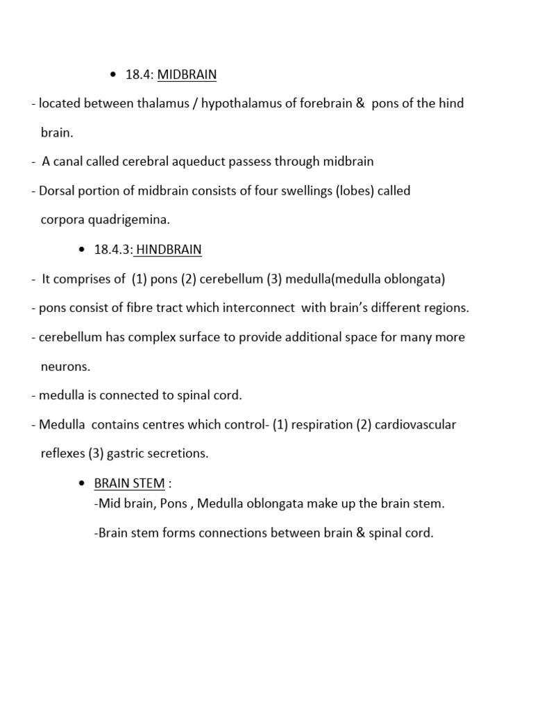 Brain Stem and Midbrain Anatomy | PDF