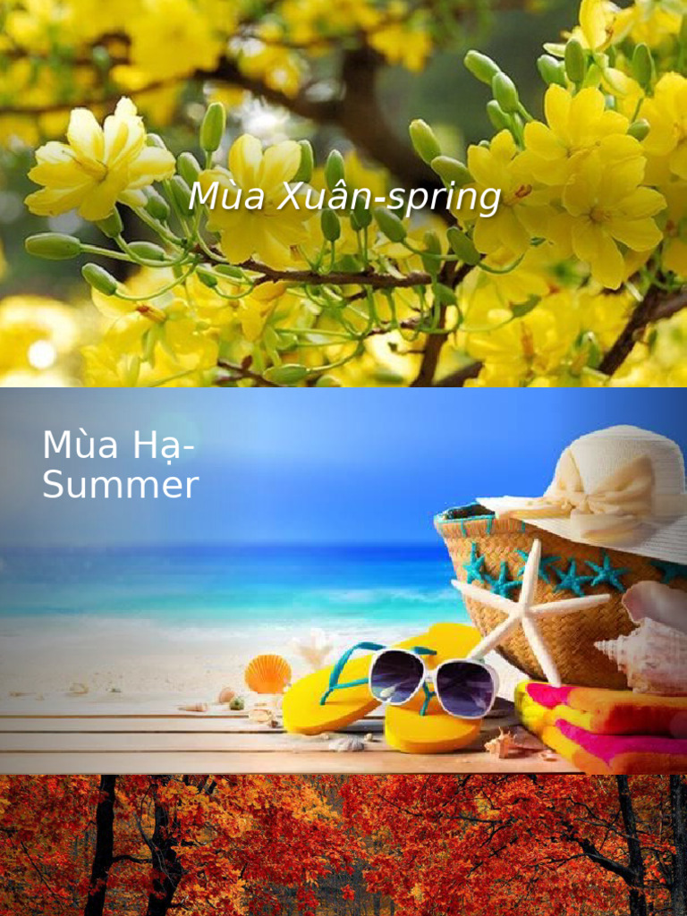 Mùa Xuân-Spring | PDF