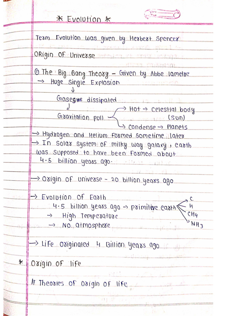 Evolution Handwritten Notes | PDF