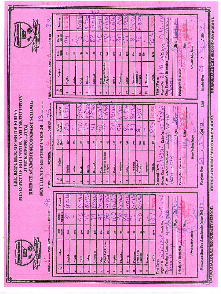 DS All Transcripts-Compressed | PDF