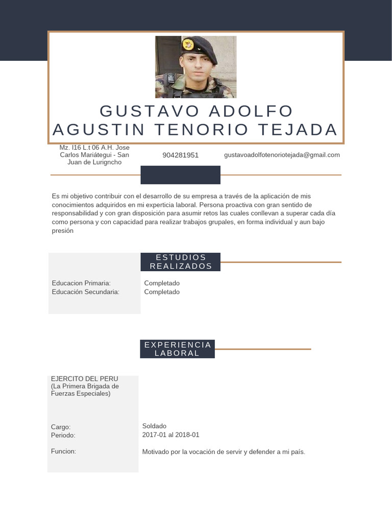 CV Gustavo Tenorio Tejada | PDF