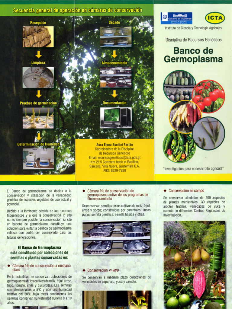 Banco de Germoplasma, 2013 | PDF