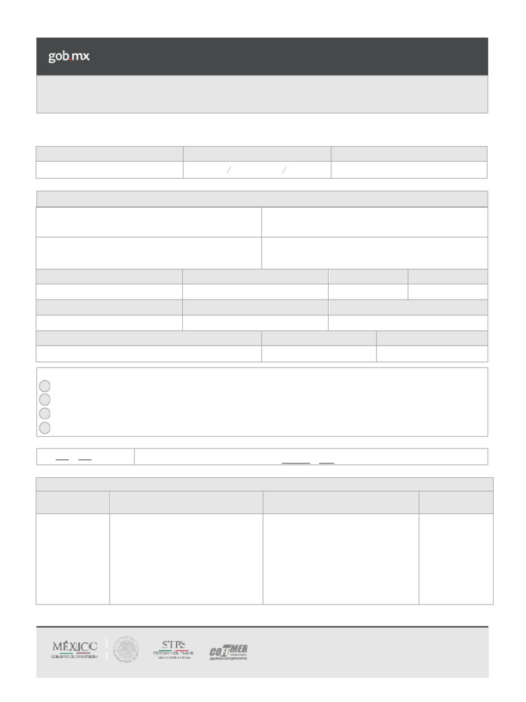 STPS_Formato_DC_5 2 | PDF