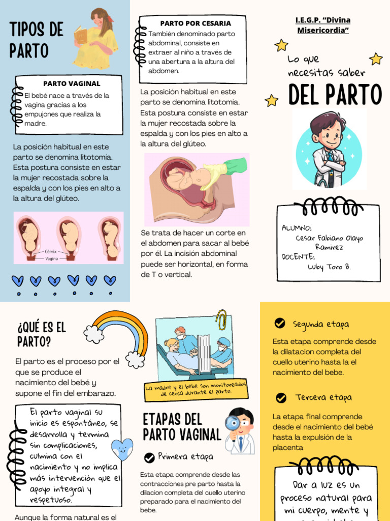 Folleto Parto | PDF | Parto | Especialidades Medicas