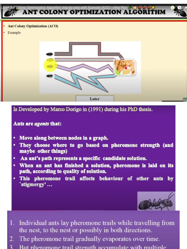 ANT Colony Algorithm | PDF