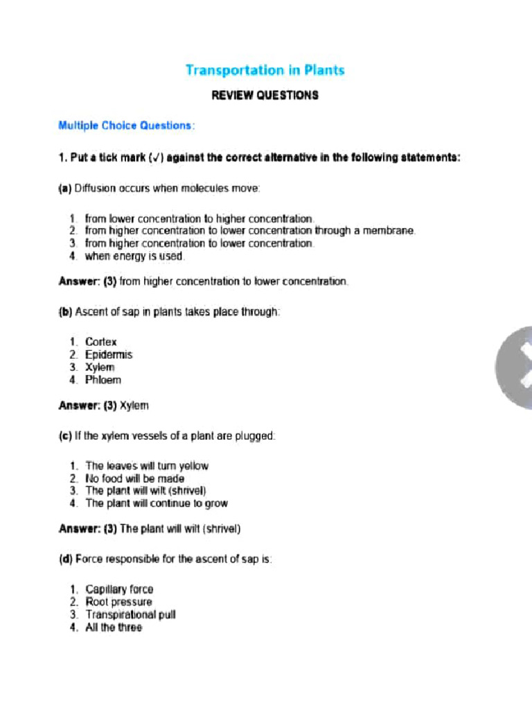 Biology Class 8 Chapter 1 | PDF | Tissue (Biology) | Root