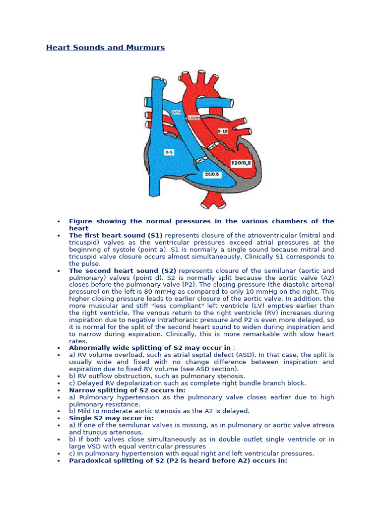 Heart Sounds: S1 and S2 Explained | PDF | Heart Valve | Diastole