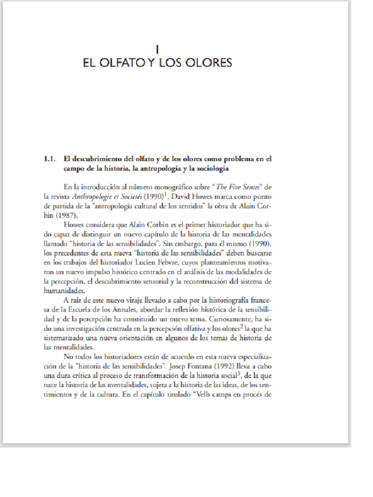 El Olfato y Los Olores | PDF